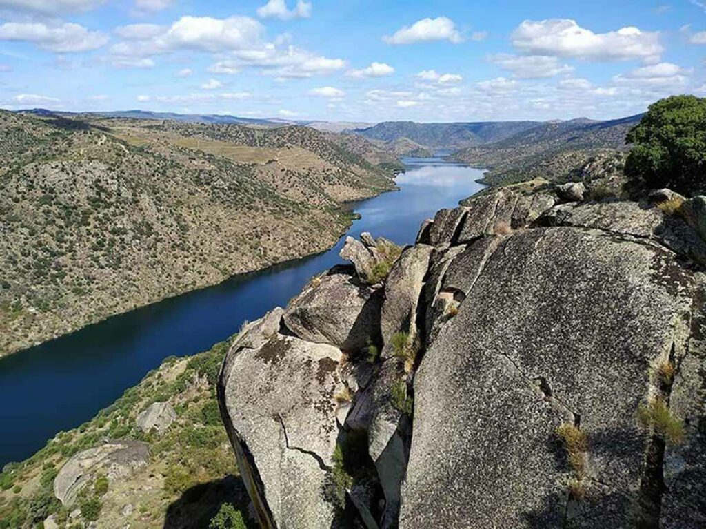 Maintenance and operation of the Automatic Water Quality Information ...