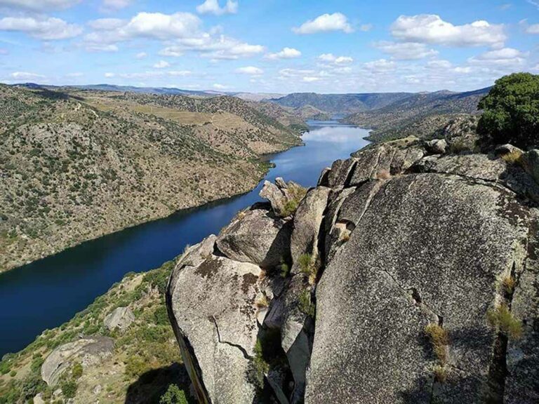 Maintenance and operation of the Automatic Water Quality Information ...