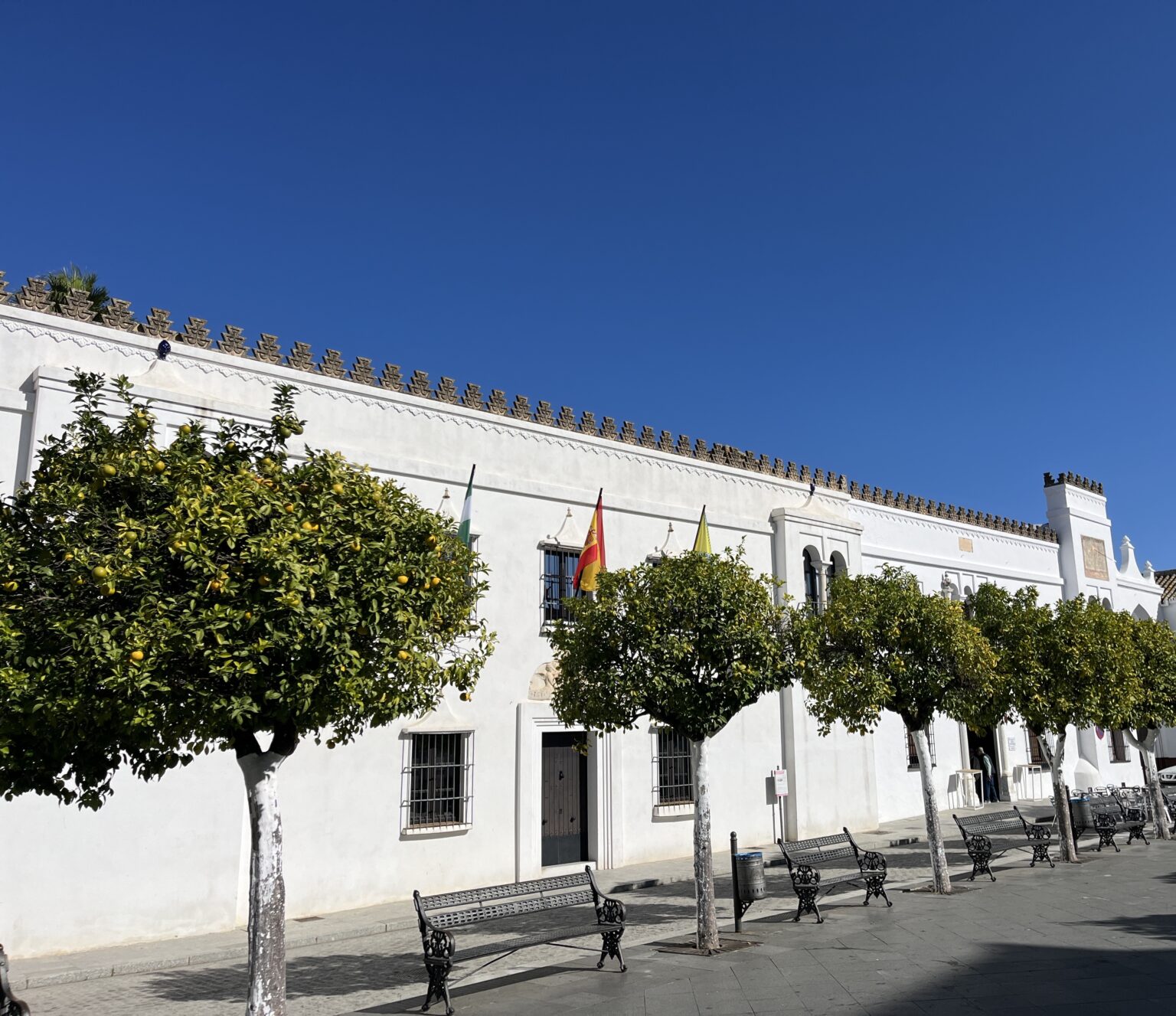 FREK: The Revolution in Flow Measurement with Image Analysis | SICE